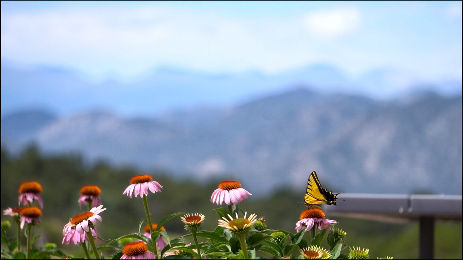 Mountain View RV Drone Photos - Mountain View RV Resort - RV Park Royal ...